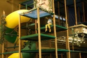 Birthday Party Venues in Farmington Hills, MI | Jungle Java