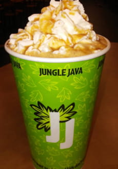 Jungle Java Menus: Coffee Bar and Food Menus